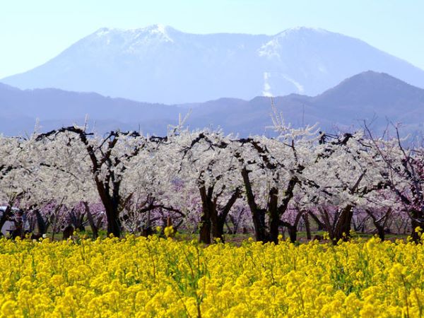 Obuse (小布施) – The Chestnuts Town All Sweet Tooths Must Visit, Nagano ...