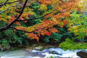 Sōja City and the Scenic Hidden Gems that Many Don’t Know