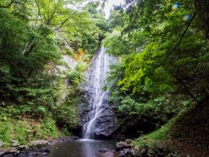 Kyotamba – The Black Beans, the Chestnuts and the Sceneries