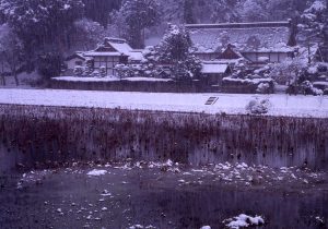 Ayabe – The City in Kyoto Filled with Hidden Gems