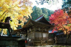 Yabu – The City in Hyōgo that is Full of Natural Wonders