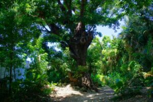 A Guide to Shurijō Castle – The Spiritual Symbol of Okinawa
