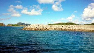 The Ultimate Guide to How to Enjoy Aka Island 2026