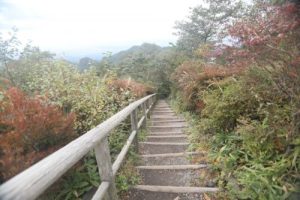 The Best Guide to Haruna Shrine, Mt Haruna, and Lake Haruna