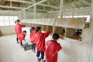 The Hidden Flower Spots in Ichinoseki That You May Not Know